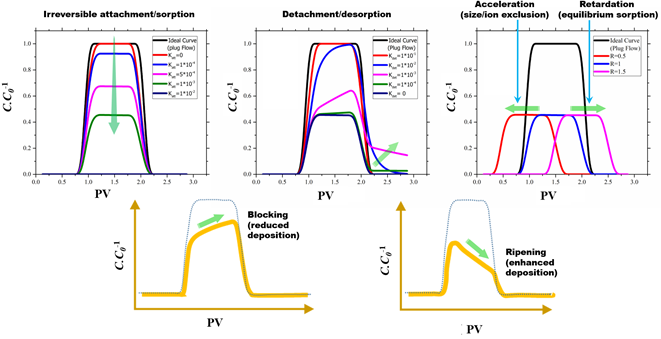 Breakthrough curve | InterPore